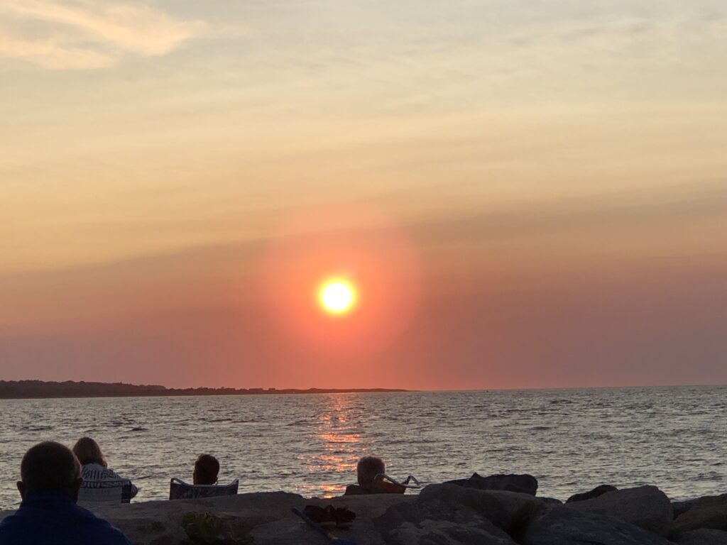 Light as Medicine: How Natural Light Cycles Impact Health and Longevity ...